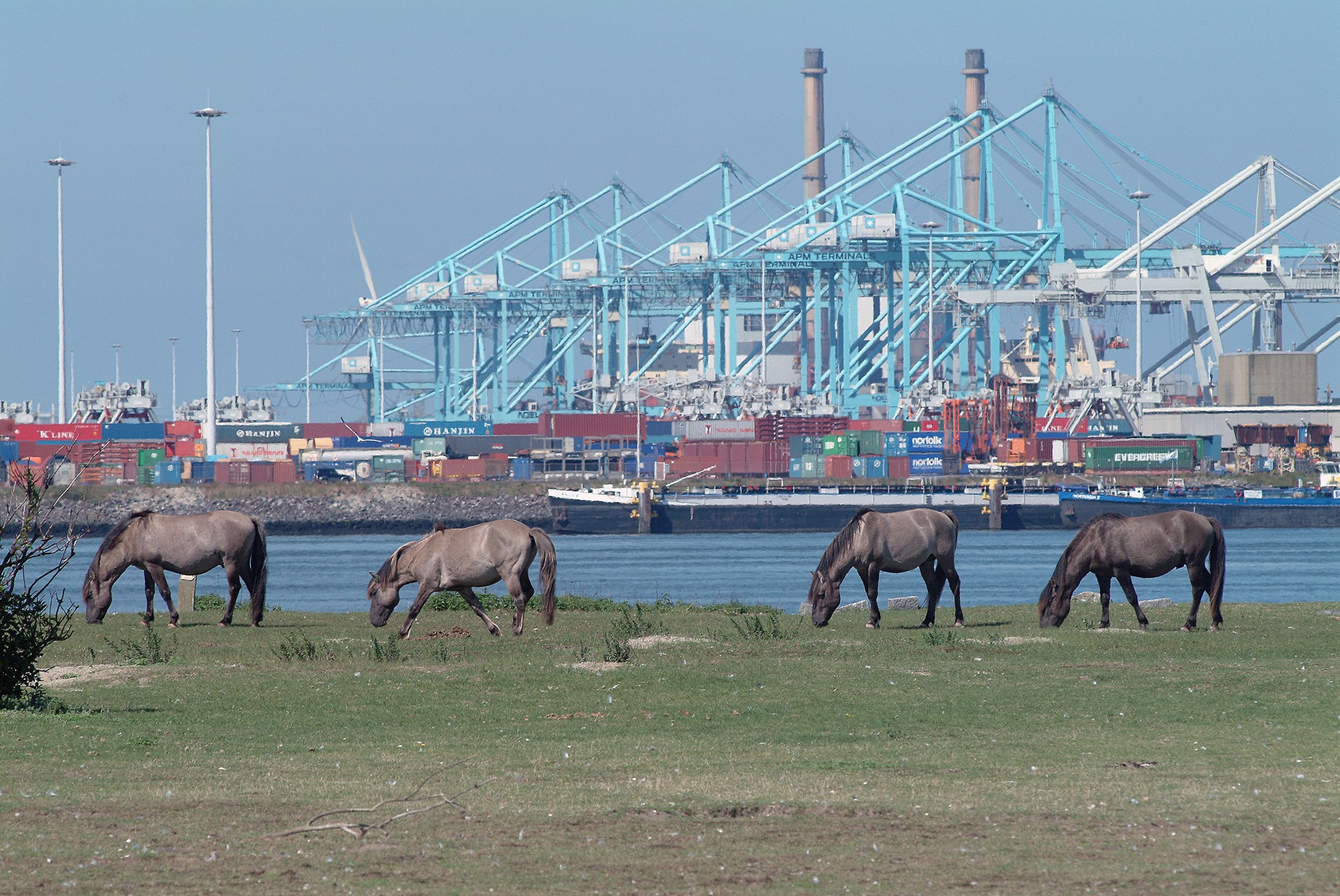 Reactie Deltalinqs op kamerbrieven stikstofaanpak: mainport Rotterdam ...